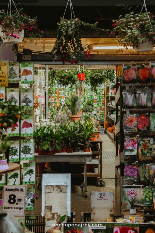 The Best Tulip Fields Netherlands + Map | Once Upon a Journey