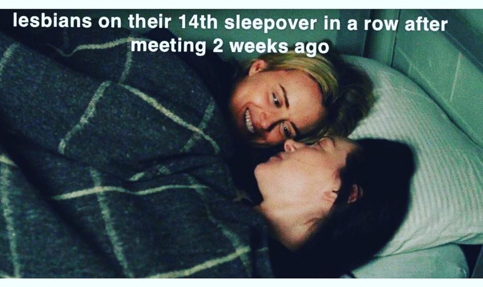16 Best Lesbian Memes You Have To See Once Upon A Journey